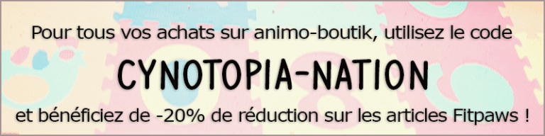 Proprioception canine : guide complet et idées d’exercices - Cynotopia